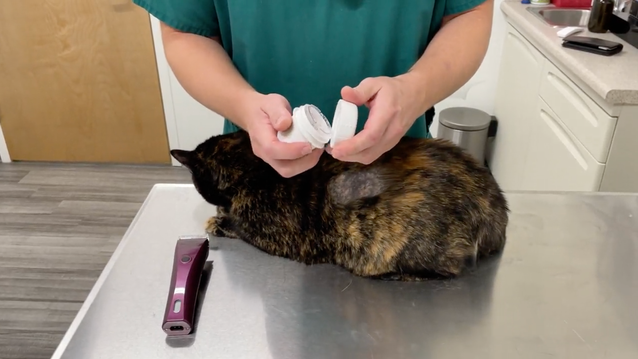 GluCurve Pet CGM Canada - Game changing diabetes monitoring – GluCurve ...